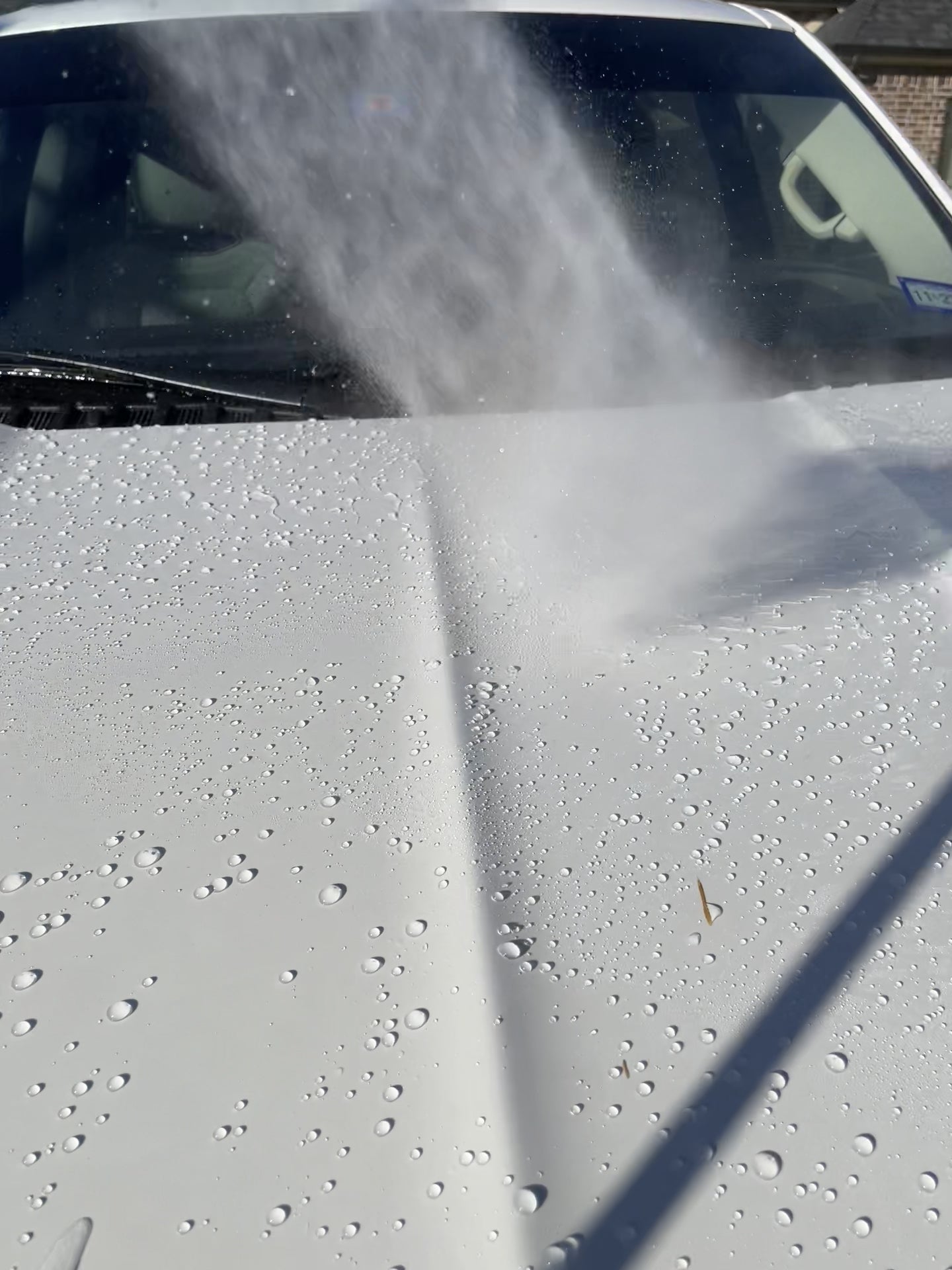 Paint & Plastic Trim - 5 Year Ceramic Coating – Texas Premier